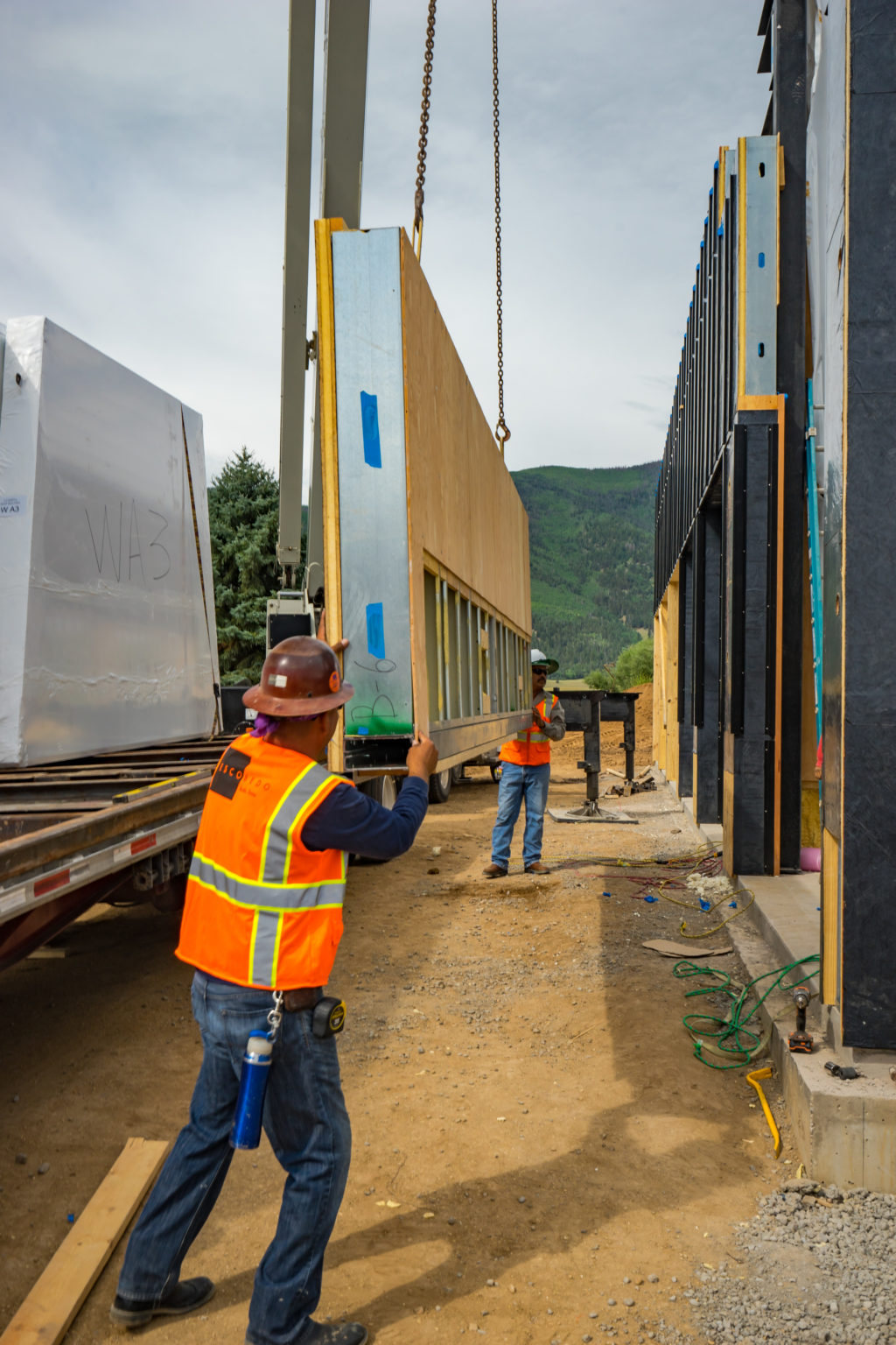 Process - Dario Panelized