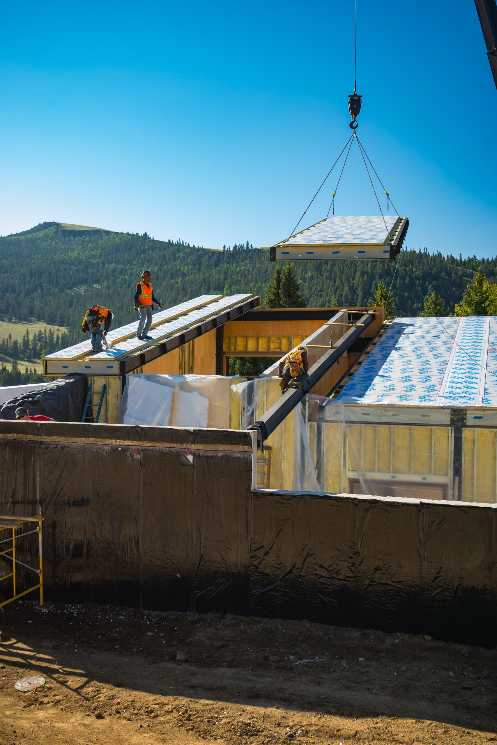 Process - Dario Panelized